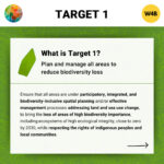 KM-GBF Targets Explainers - Women4Biodiversity