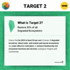 KM-GBF Targets Explainers - Women4Biodiversity