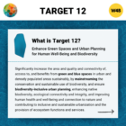 KM-GBF Targets Explainers - Women4Biodiversity