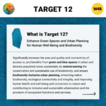 KM-GBF Targets Explainers - Women4Biodiversity