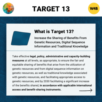 KM-GBF Targets Explainers - Women4Biodiversity