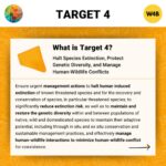 KM-GBF Targets Explainers - Women4Biodiversity