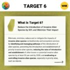 KM-GBF Targets Explainers - Women4Biodiversity