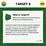 KM-GBF Targets Explainers - Women4Biodiversity