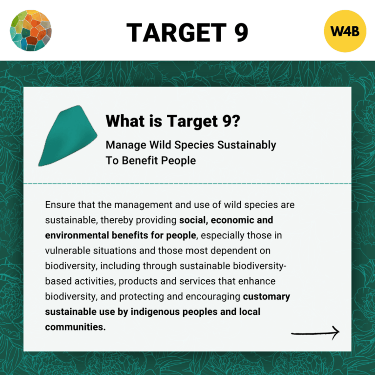 KM-GBF Targets Explainers - Women4Biodiversity