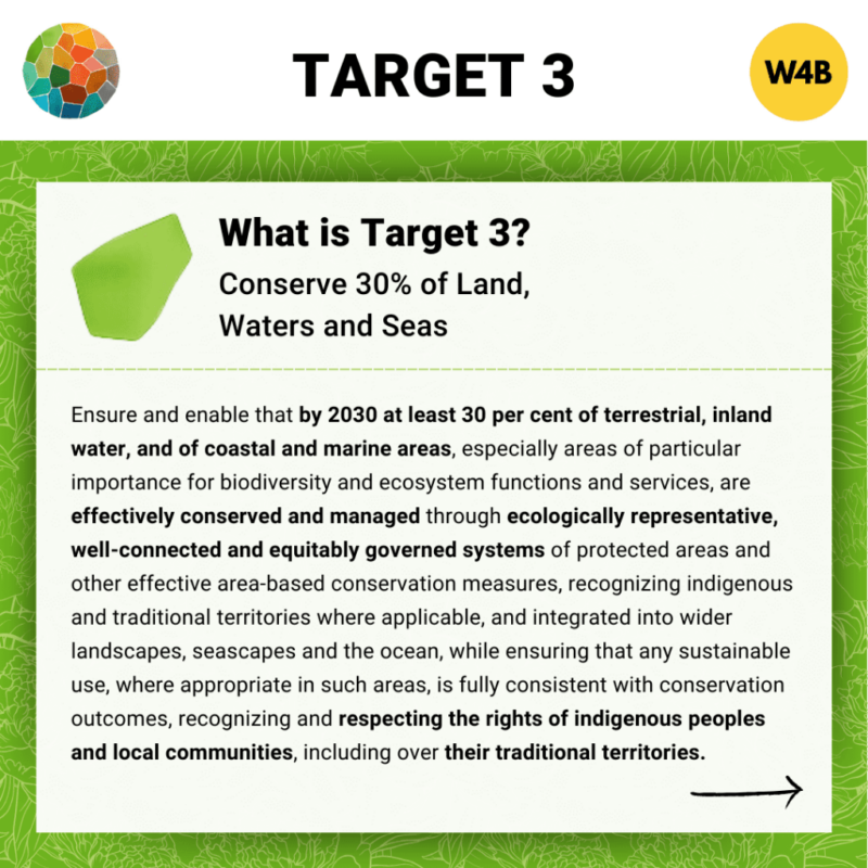 KM-GBF Targets Explainers - Women4Biodiversity