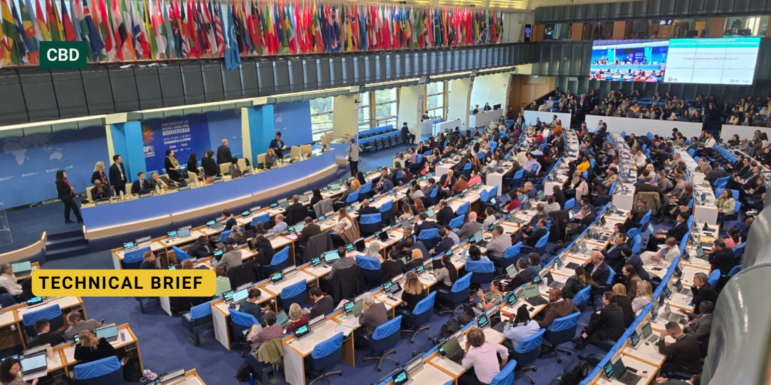 Critical Analysis of the Outcomes of the Resumed Session of the 16th ...